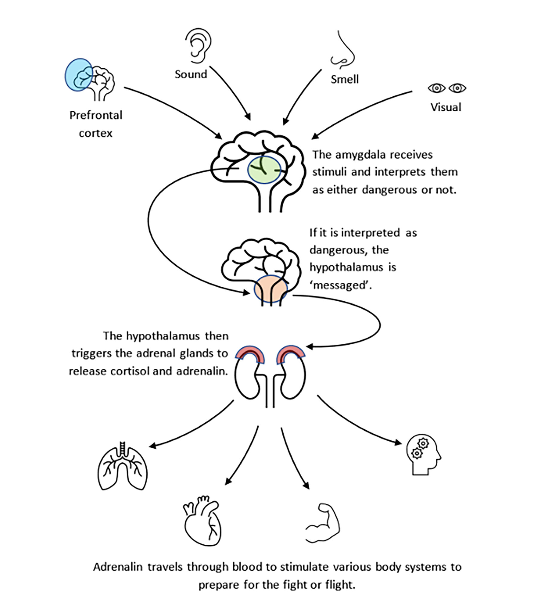 The Use of Fear to Achieve Compliance and the Acceptance of Injustice ...