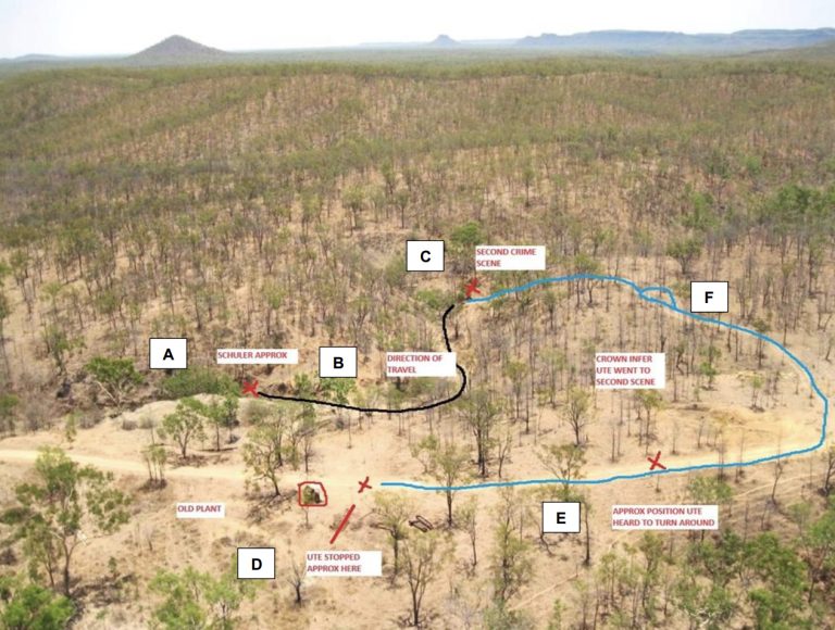 The Disappearance of Bruce Schuler: Case Concerns - The Injustice Project